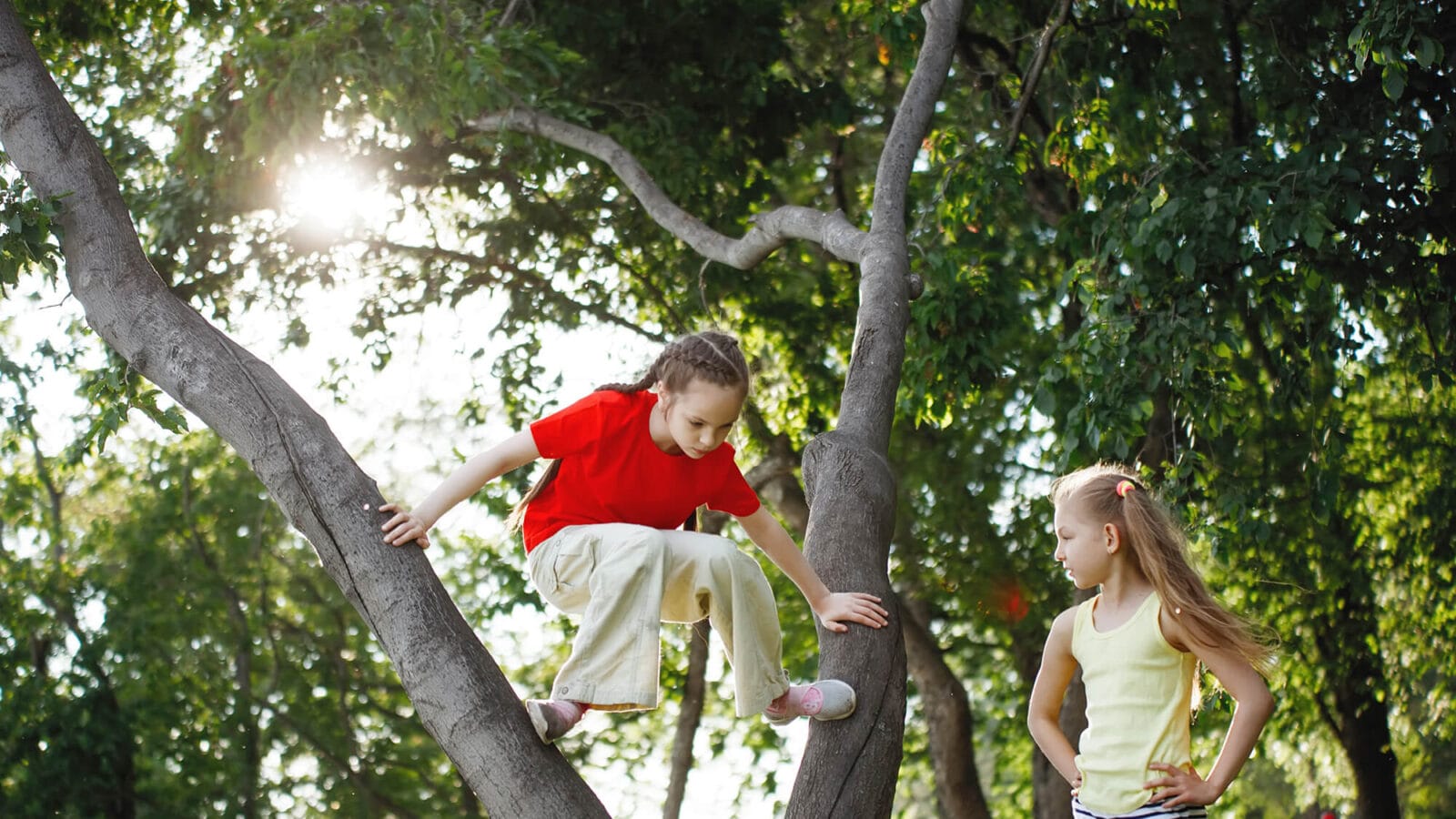 Tree Climbing | Girl Scouts of Greater Iowa - The Hub